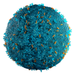 HD Visual Learning – ENCOMPASS