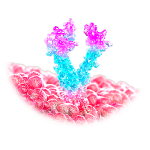 HD Visual Learning – ENCOMPASS